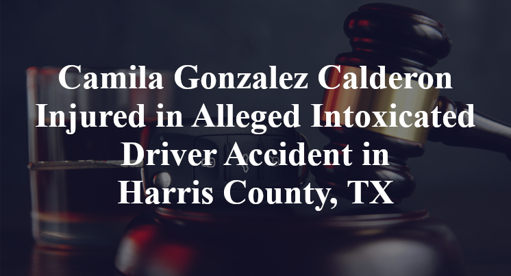 Camila Gonzalez Calderon Injured in Alleged Intoxicated Driver Accident ...