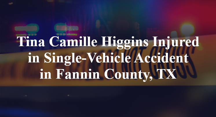 Tina Camille Higgins Injured in Single-Vehicle Accident in Fannin ...